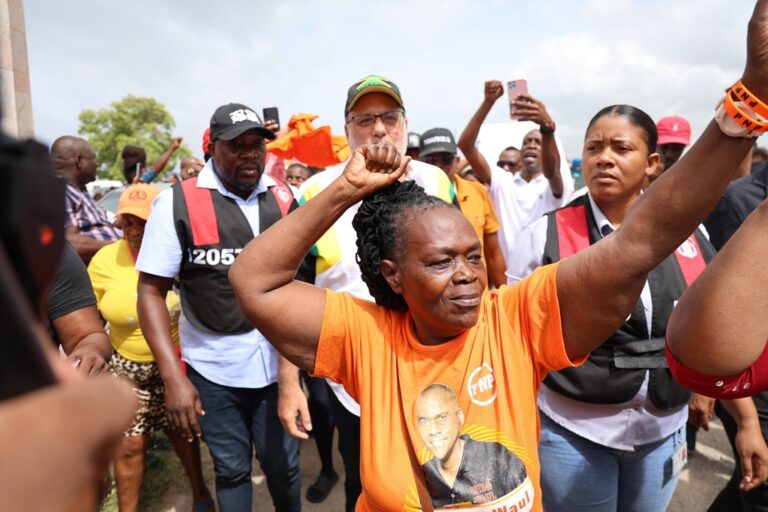 In pictures: PNP protests against Chung's FID appointment, says it ...