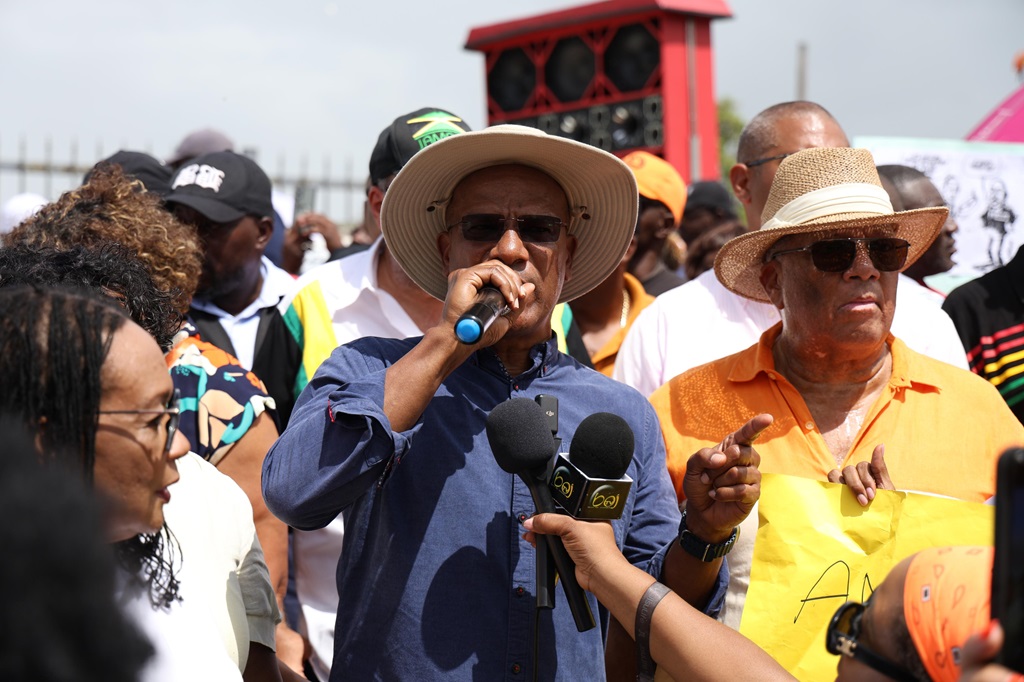 In pictures: PNP protests against Chung's FID appointment, says it ...