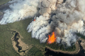 Road plea made as Caribbean Broilers unveils massive poultry processing ...