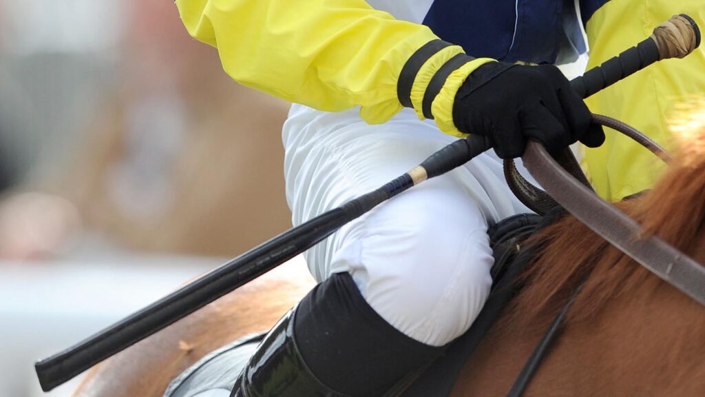 Australian Olympic equestrian suspended over horse-whipping video ...