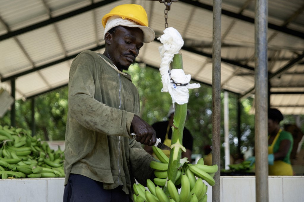 Three convicted of drug trafficking in post office scheme — MOCA ...