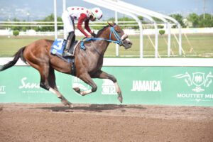 THE FUN CAN’T DONE! - Jamaica Observer