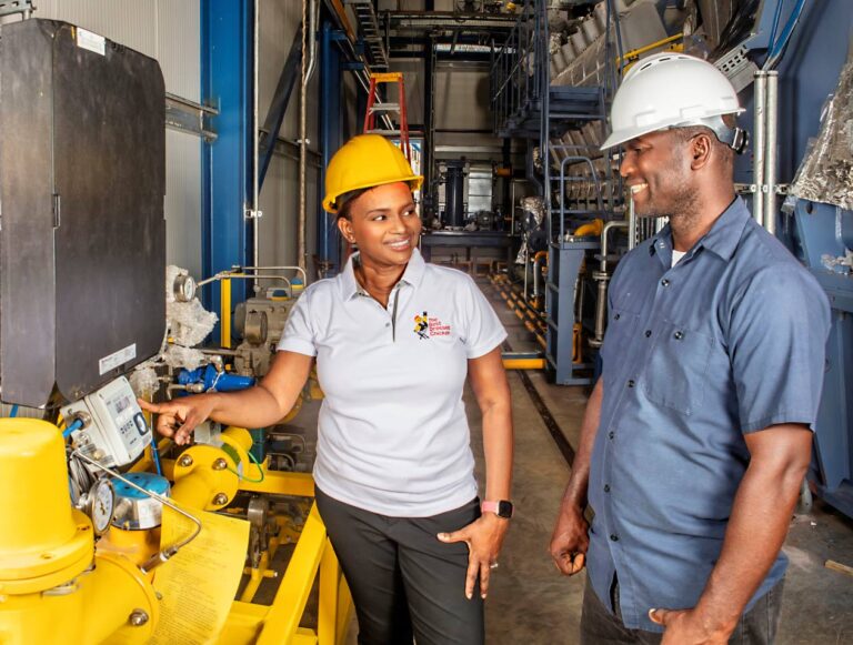 Trecia Mullings-Allen: A sustainability career built at a chicken plant ...