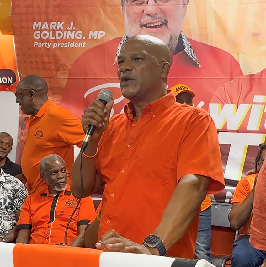 General Elections: Bunting wins in Manchester Southern - Jamaica Observer