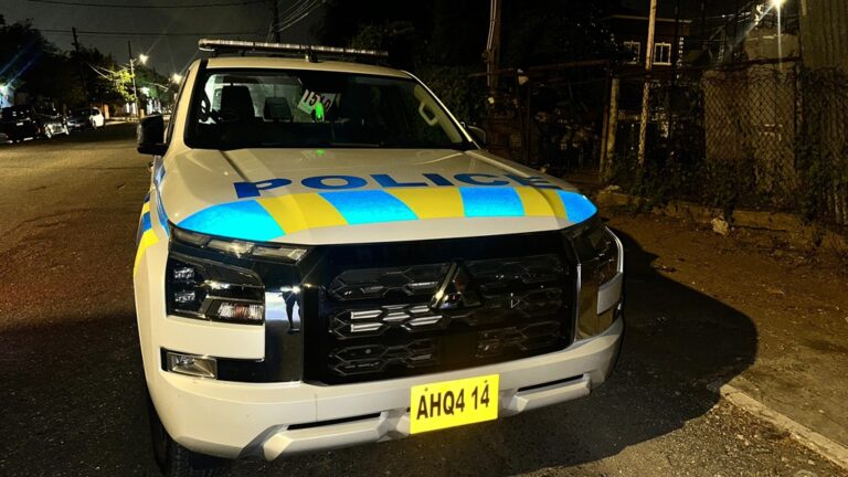 Man shot dead by police after allegedly killing cousin in Kingston ...