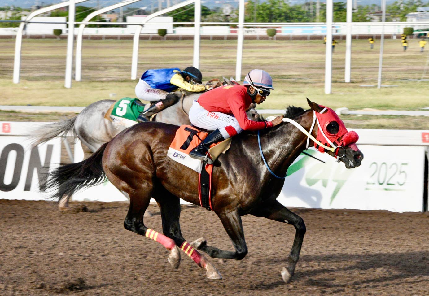 Pack Plays outpaces rivals in BGLC feature - Jamaica Observer