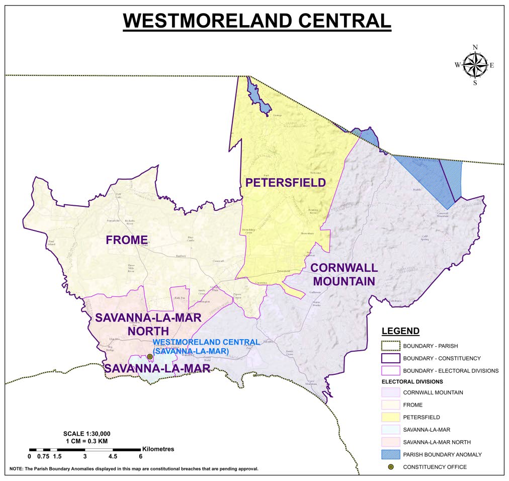 Vaz pushing for quick return to Parliament - Jamaica Observer