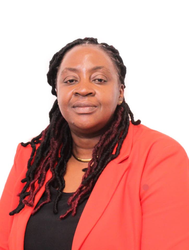 Bridging the divide - Jamaica Observer