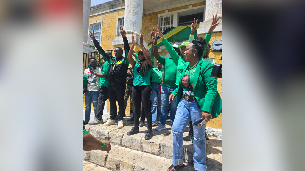 JLP’s Tova Hamilton nominated in Trelawny Northern - Jamaica Observer