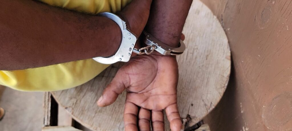 JFM and JPP announce ‘mutual dissolution’ of alliance - Jamaica Observer