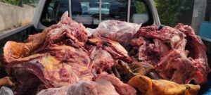 Agricultural Protection Branch seizes over 500 pounds of uninspected ...