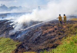 JFB reports 26.2 per cent rise in bush fires during 2025 - Jamaica Observer