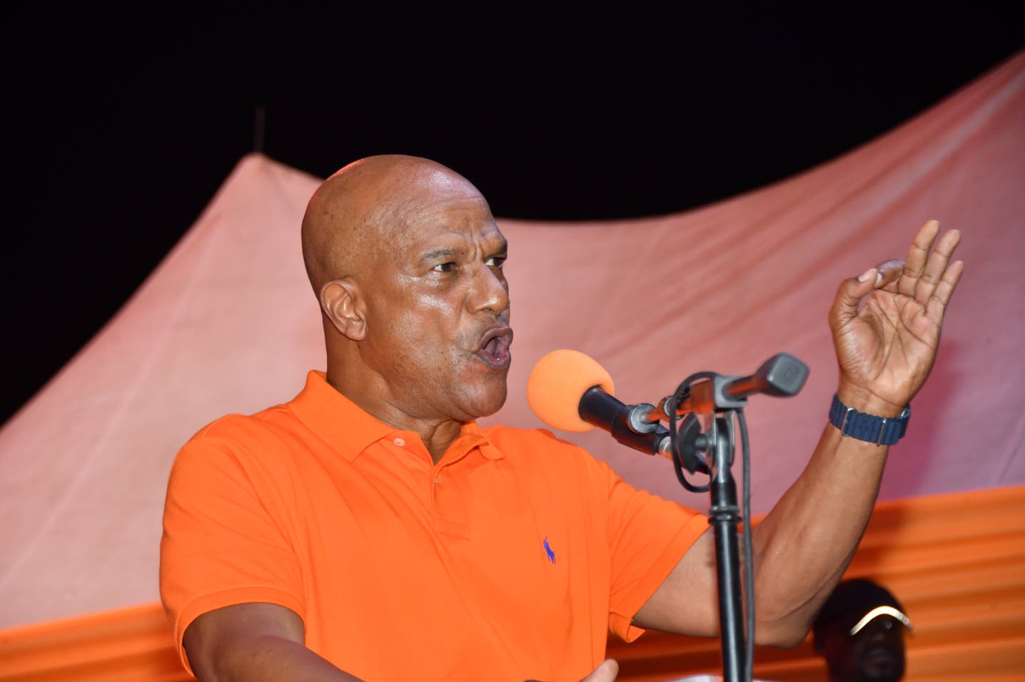 Expect security guards backlash, Bunting tells JLP - Jamaica Observer