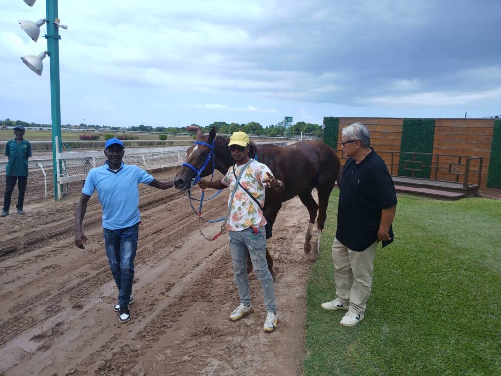 Rocket Fire Seb blasts off dominant 11 ¾-length win in Caymanas 66th ...