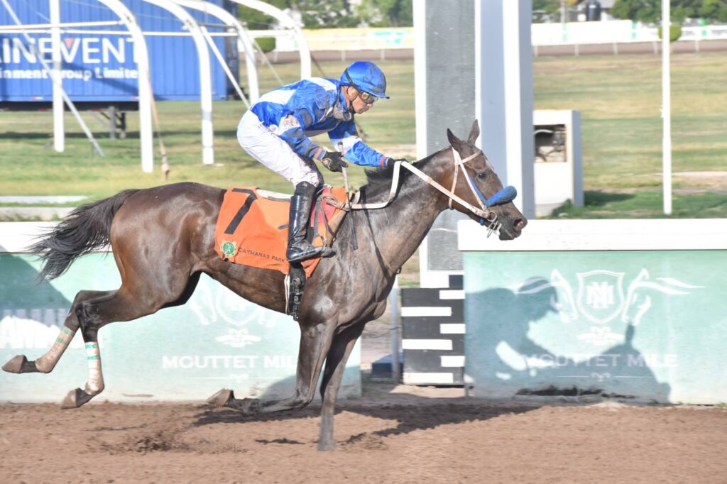 Defining four winners for trainer Anthony ‘Baba’ Nunes - Jamaica Observer