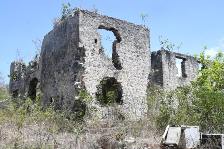 Stewart Castle a dumping ground? - Jamaica Observer