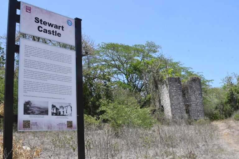 Stewart Castle a dumping ground? - Jamaica Observer