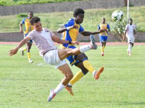 Duckie hails Phoenix-owned Chapelton after unbeaten start to JPL season ...