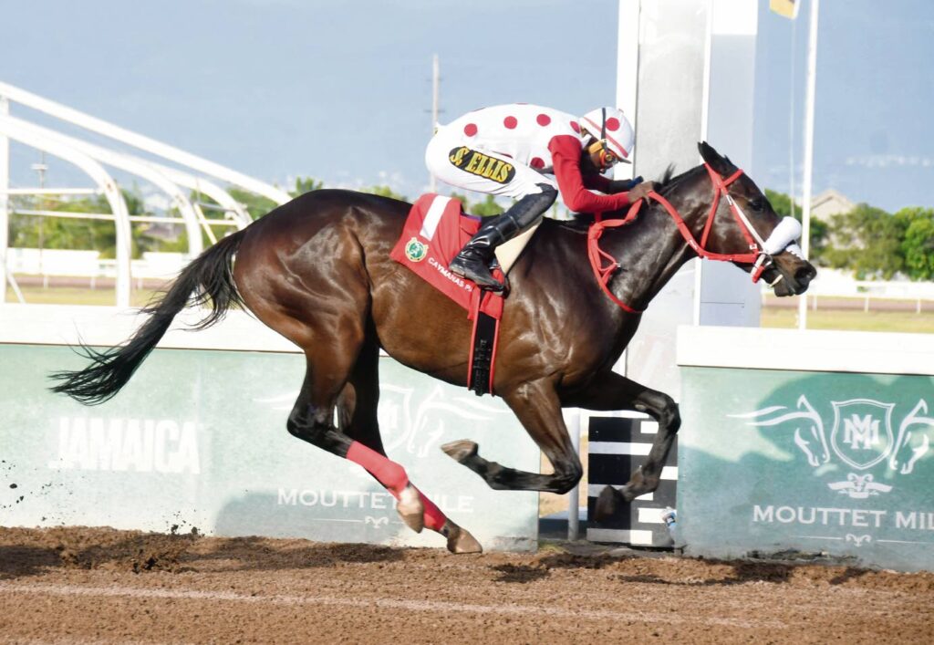 Alchemy of Souls hard to beat in Reprieve Trophy - Jamaica Observer