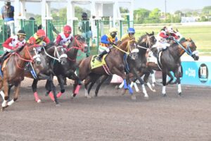 The Economic Decline of Local Horse Racing Under the Flawed Claiming ...