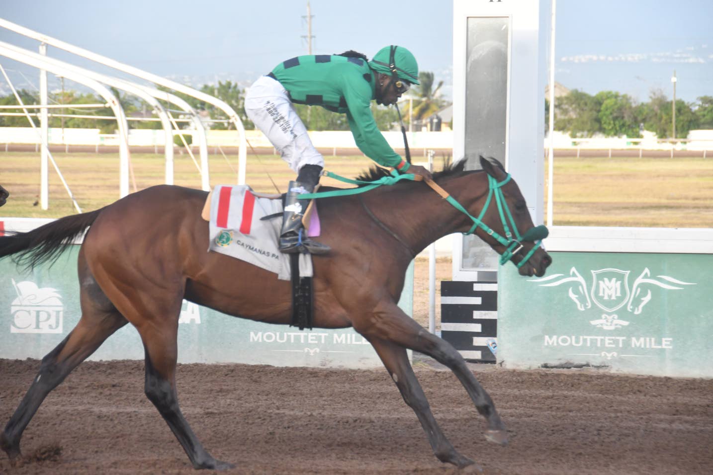 I Dream Again to face talented runners in Typewriter Trophy - Jamaica ...