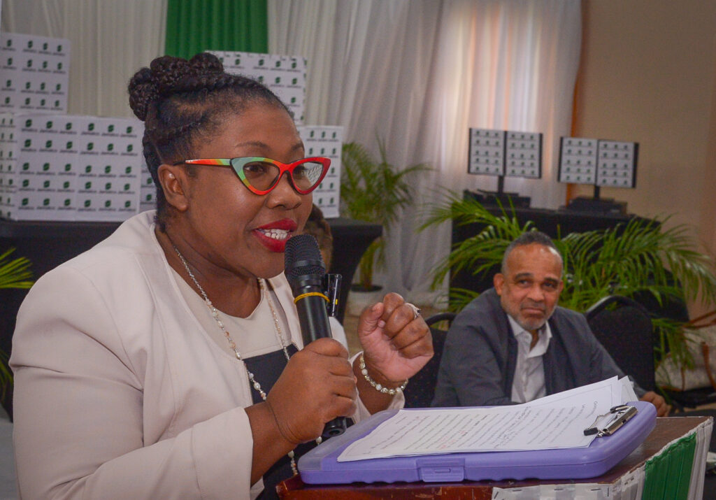 Andrew Swaby is the new Mayor of Kingston - Jamaica Observer