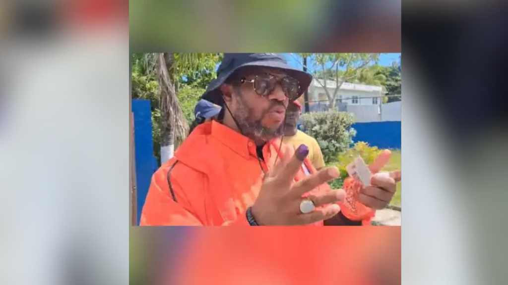 In pictures: Big turnout for JLP rally as PM announces election date ...