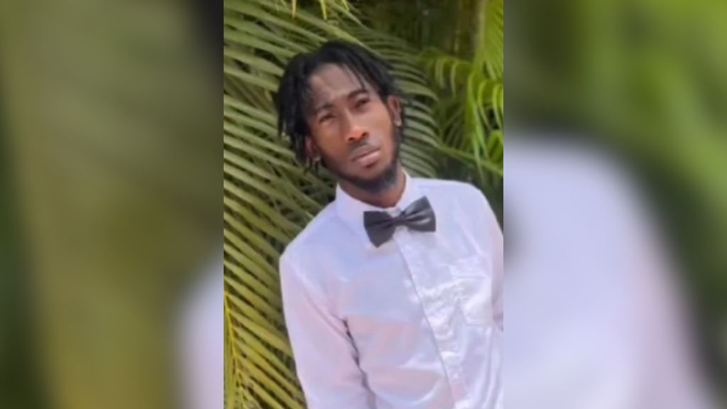 Family to lead protest after police killing in Cherry Tree Lane ...