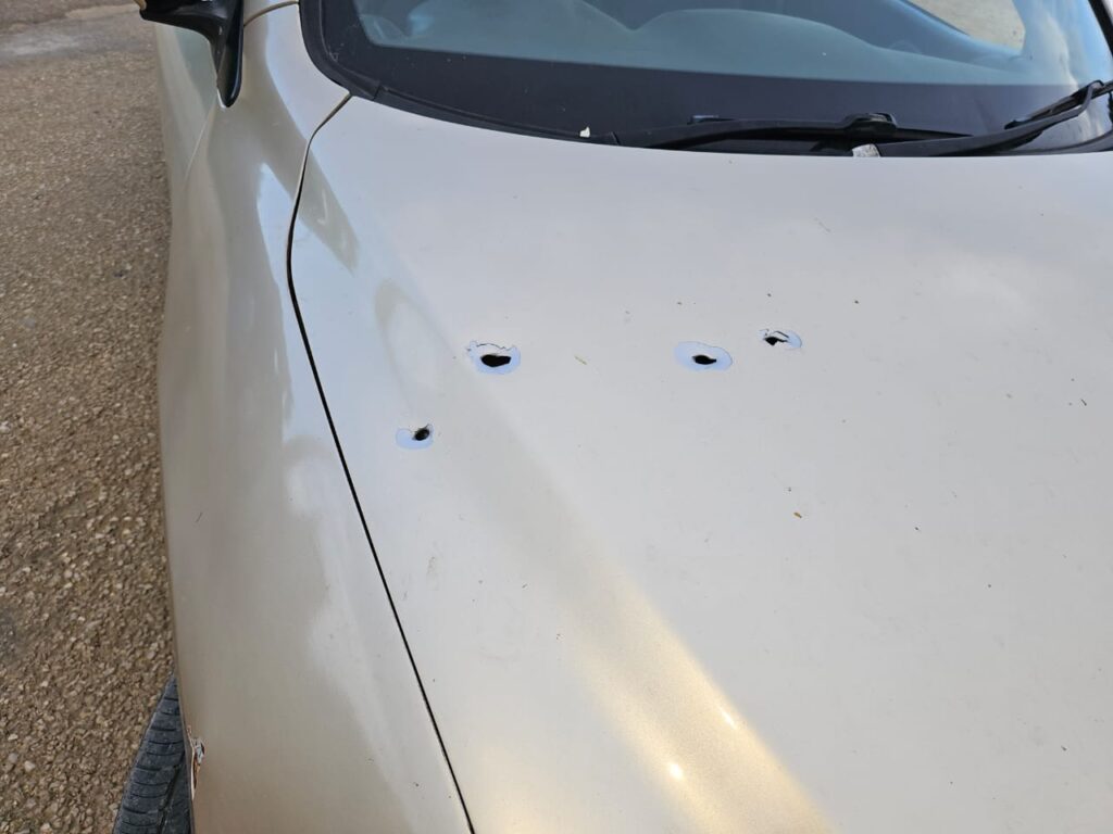 ‘Two’ successful to survive - Jamaica Observer