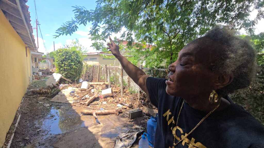 A Jamaican president - Jamaica Observer