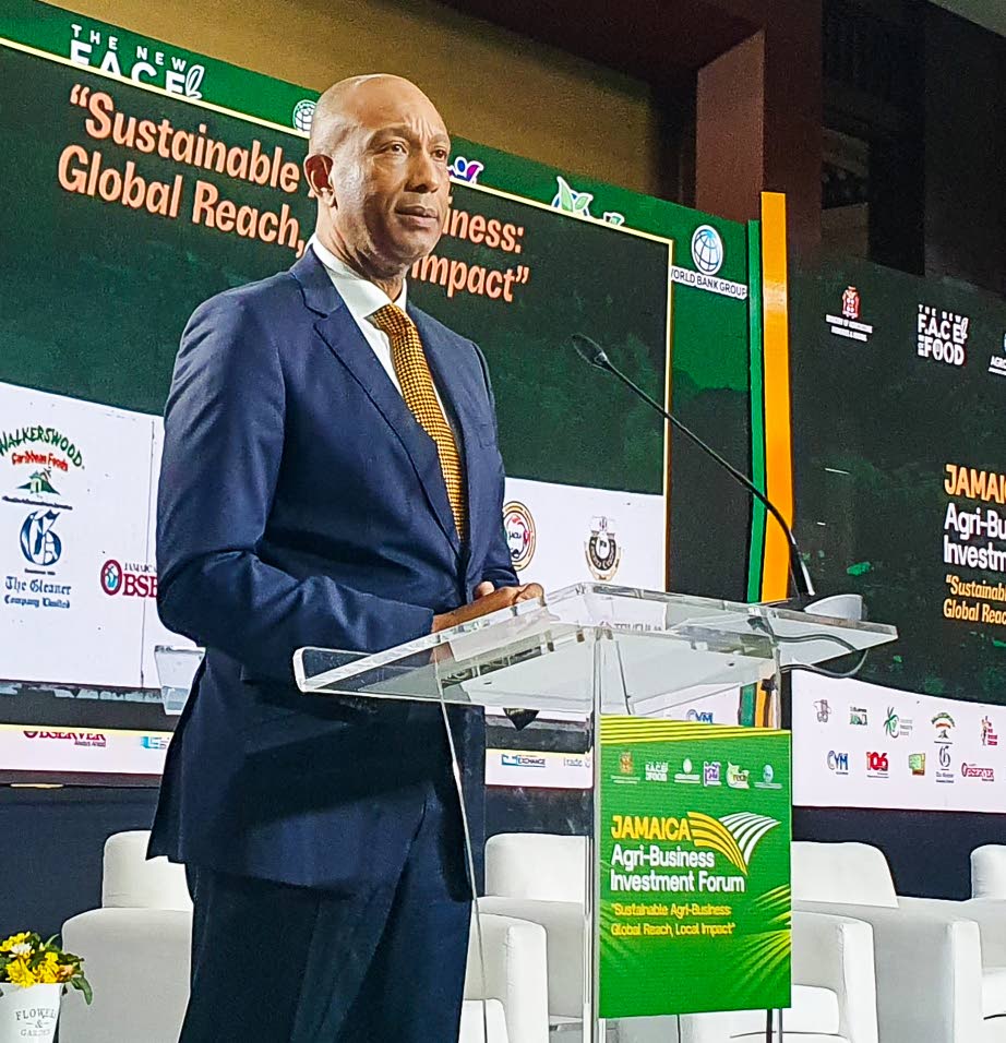 Putting Jamaica first needs to be more than just words - Jamaica Observer