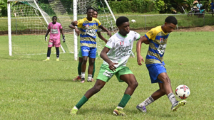 Prof Louis Grant: A hero for health - Jamaica Observer