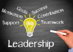 Leadership and professional ethics - Jamaica Observer