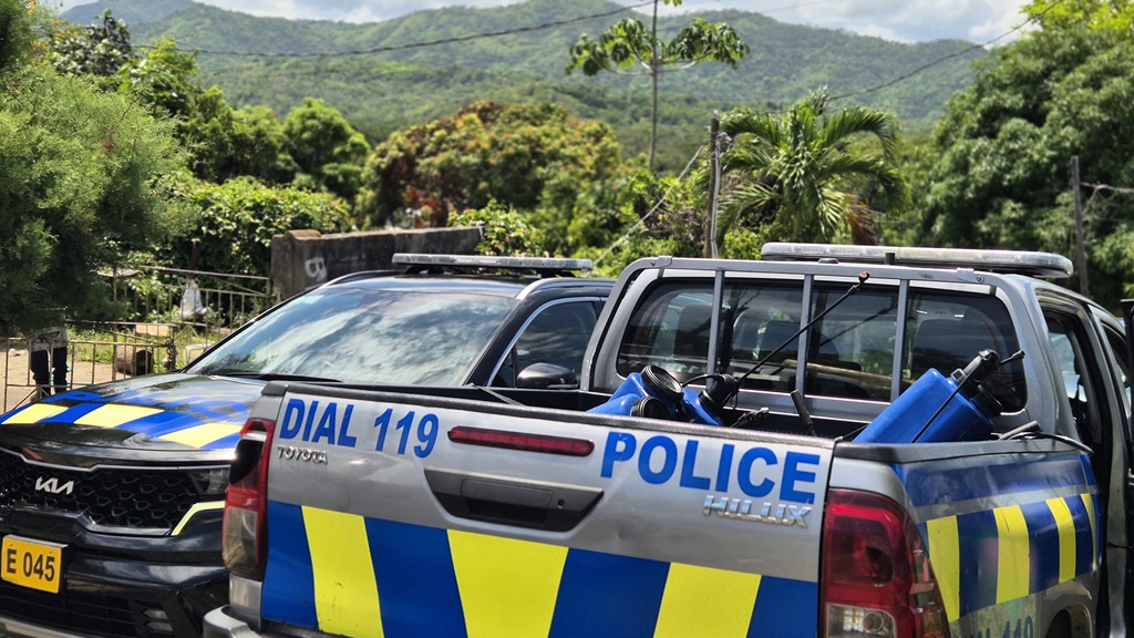 Police uncover unlicensed two-acre ganja farm in St Mary - Jamaica Observer