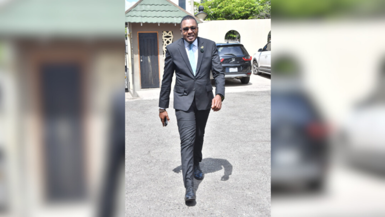 Eight new faces for Senate - Jamaica Observer
