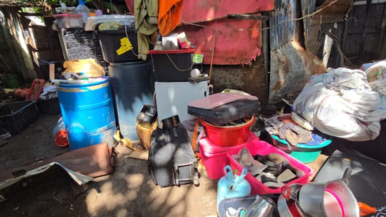 Record drop in poverty - Jamaica Observer