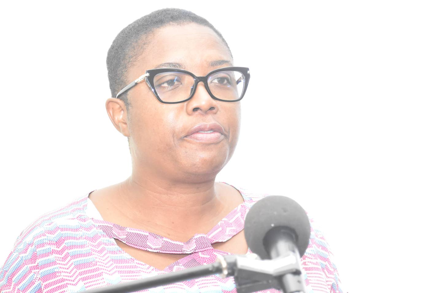 Portland makes progress reining in rodents - Jamaica Observer