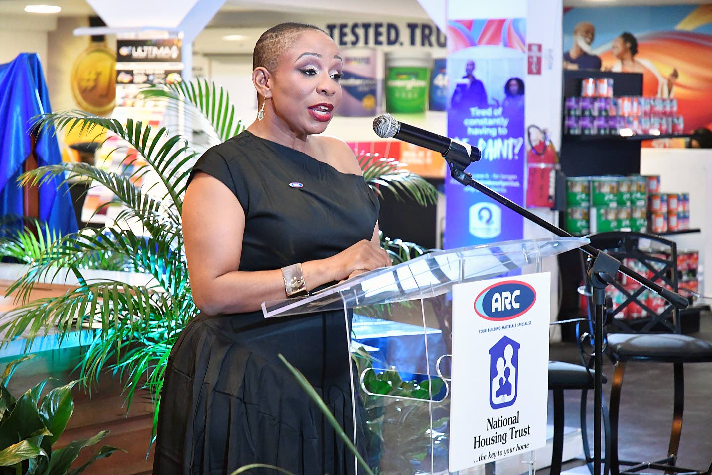Building Dream Designs with ARC and NHT (Part 1) - Jamaica Observer