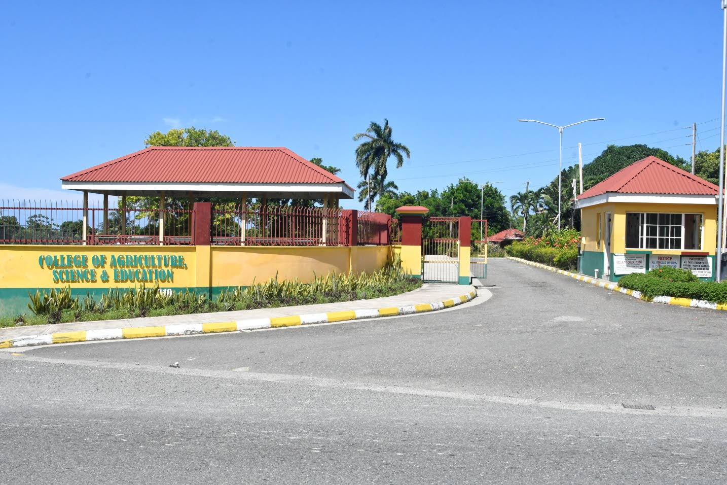 Rat CASE - Jamaica Observer