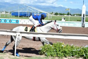 Trevor Johnson’s triumphant return to the saddle - Jamaica Observer