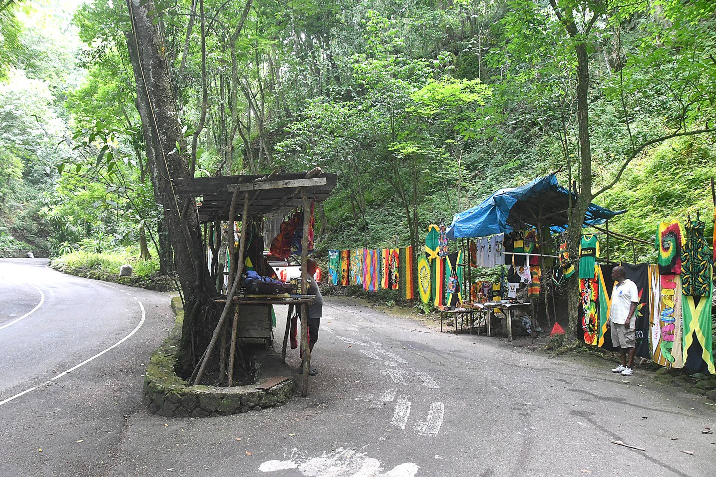 Echoes of Fern Gully - Jamaica Observer