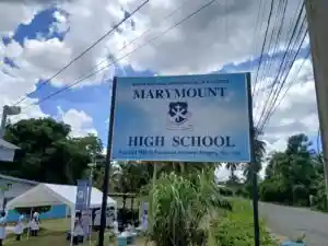 Marymount’s first male principal making a mark - Jamaica Observer