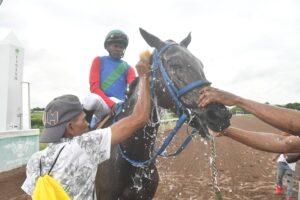Main Mistress delivers in style, secures Announcers’ Trophy victory ...