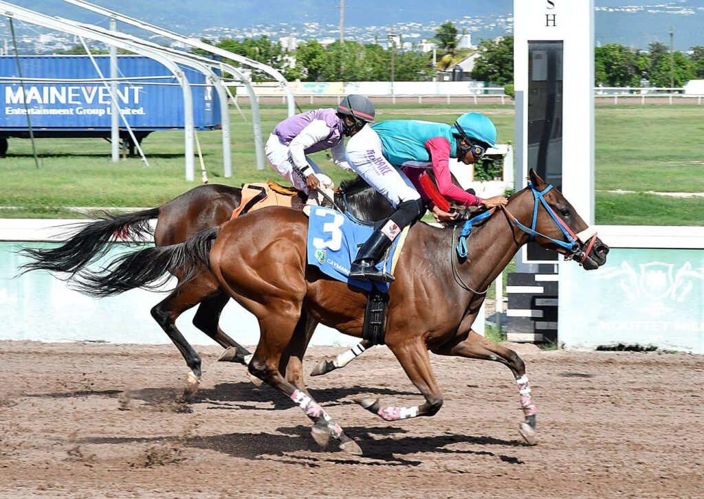 Raddesh Roman hits 100th winner of the season - Jamaica Observer
