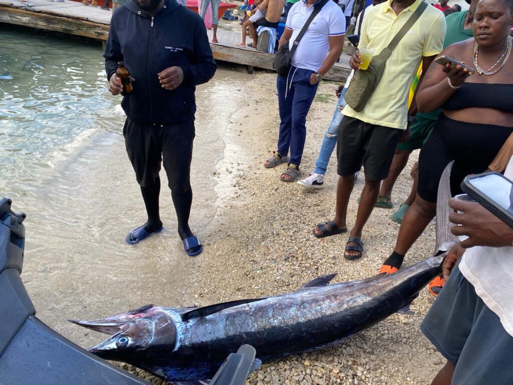 21st Oracabessa Bay Marlin Tournament underway in St Mary - Jamaica ...