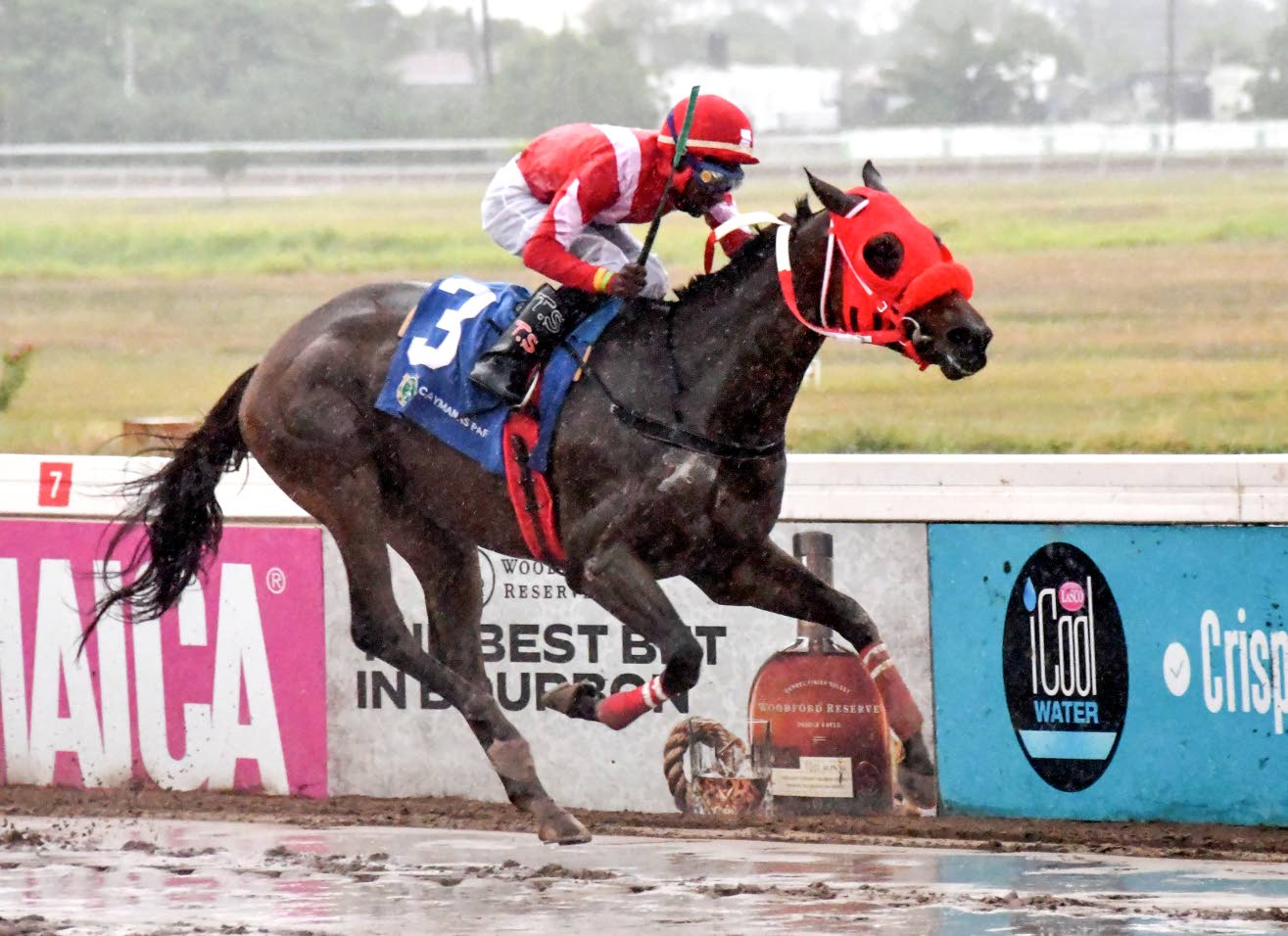 Fearless Force seeks redemption in the I’msatisfied Trophy feature ...