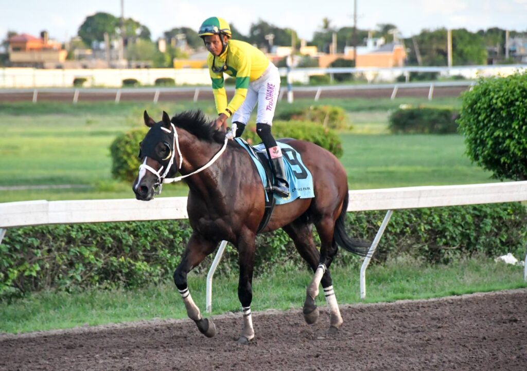 Rohan Crichton sets sights on December’s Mouttet Mile as Legacy Isle ...