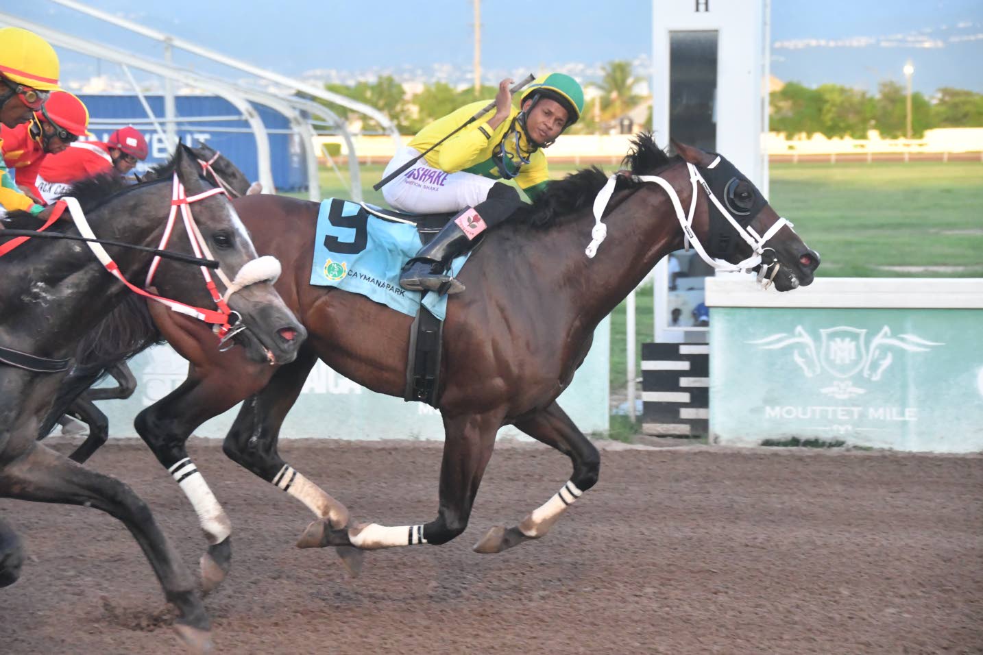 Legacy Isle wins Philip Feanny Gold Cup; secures Mouttet Mile berth ...