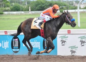 Big Buzz proves his class in Louis Hitchins Memorial Cup - Jamaica Observer