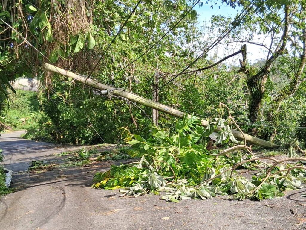 Underground power lines a necessary investment - Jamaica Observer